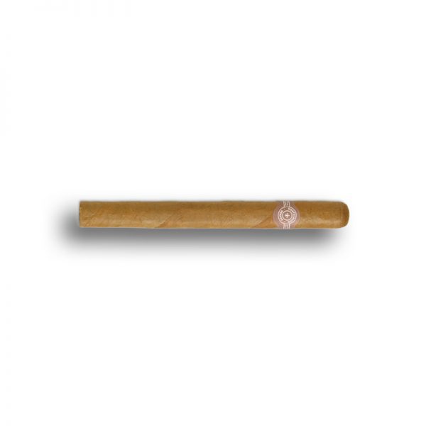Montecristo No. 5 (5×5) pack – Cigar Shop World